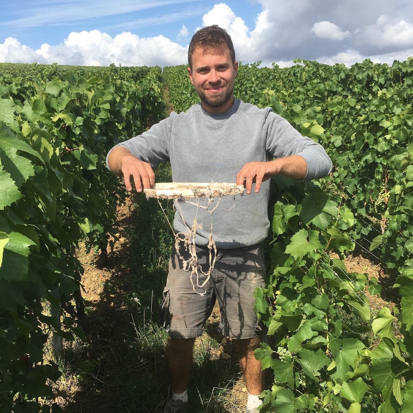 Romain Hénin - L'Atelier du Champagne